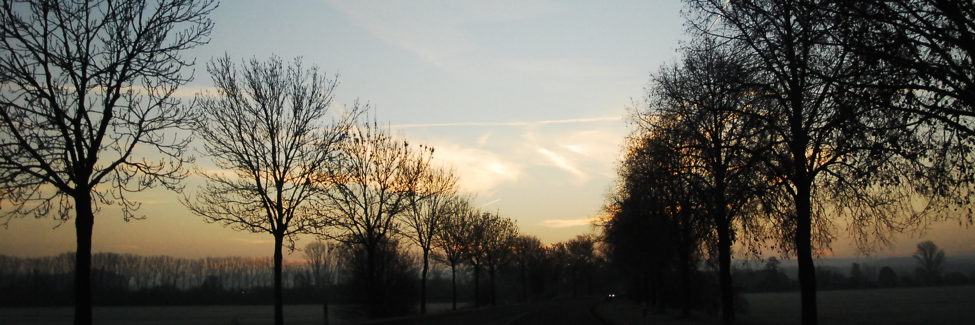 Nidda | Nidda